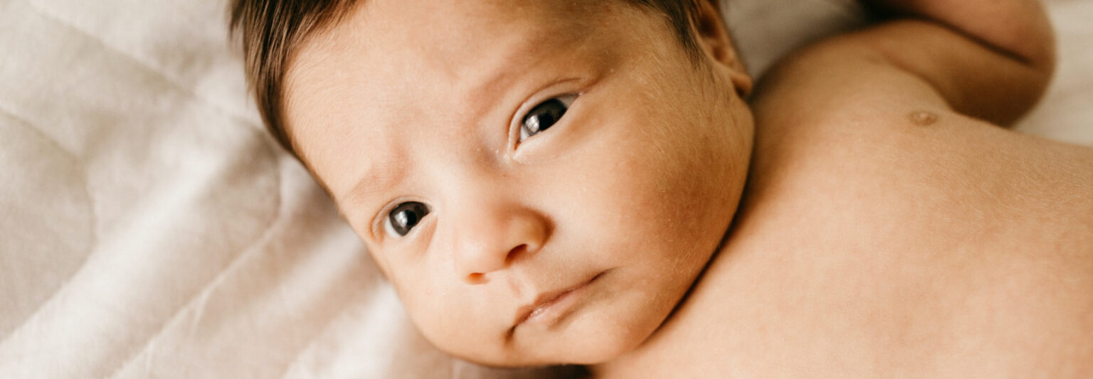 Who We Support | Cape Cod Pro-Life Alliance